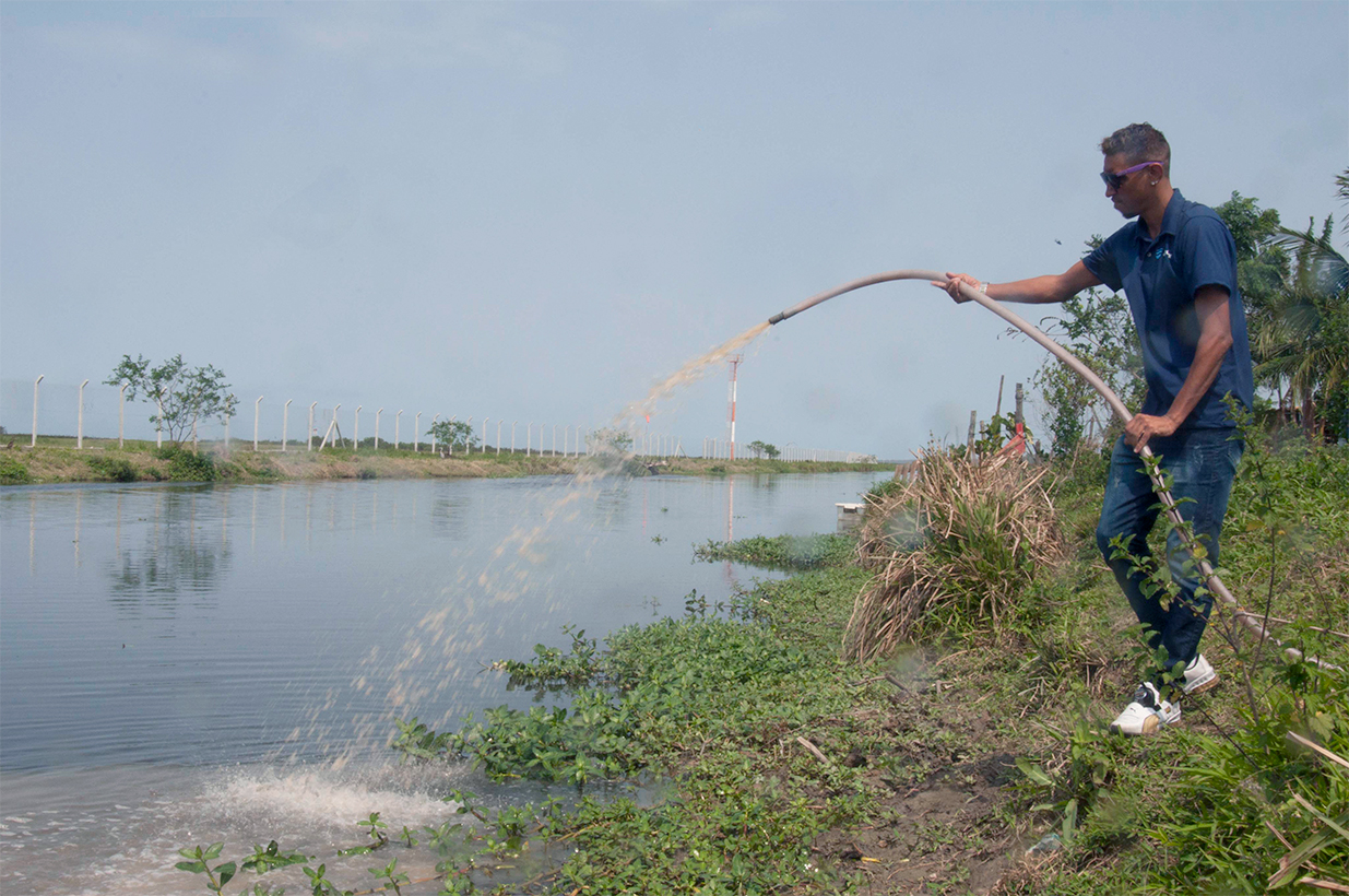 Lagoa Viva | CODEMAR